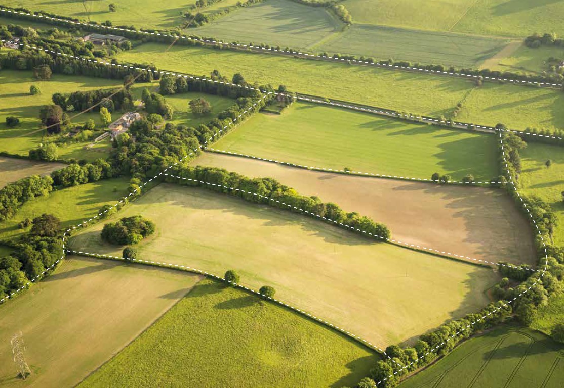Home | Houtig Landschap